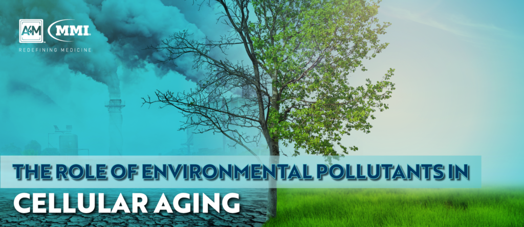 The Role of Environmental Pollutants in Cellular Aging • A4M Blog
