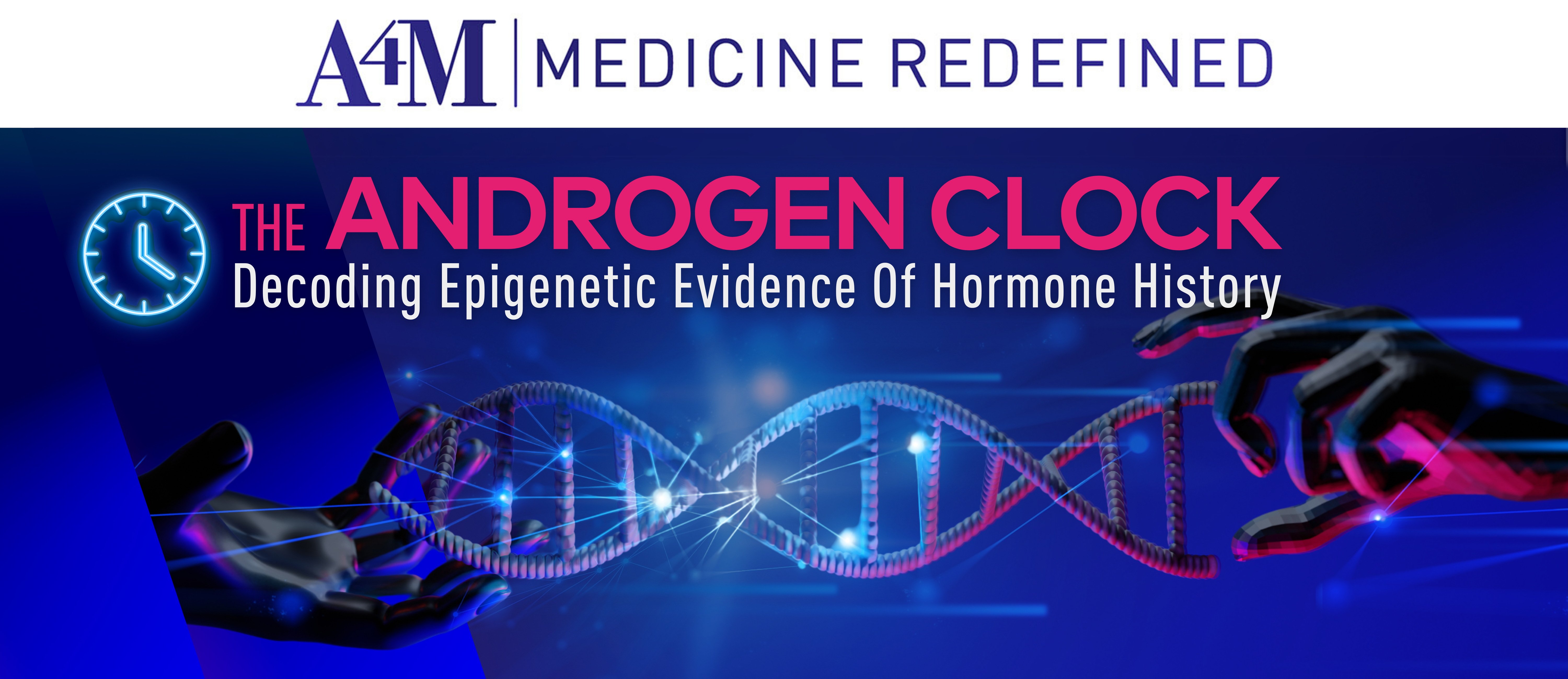 The Androgen Clock: Examining Lifetime Hormone Exposure