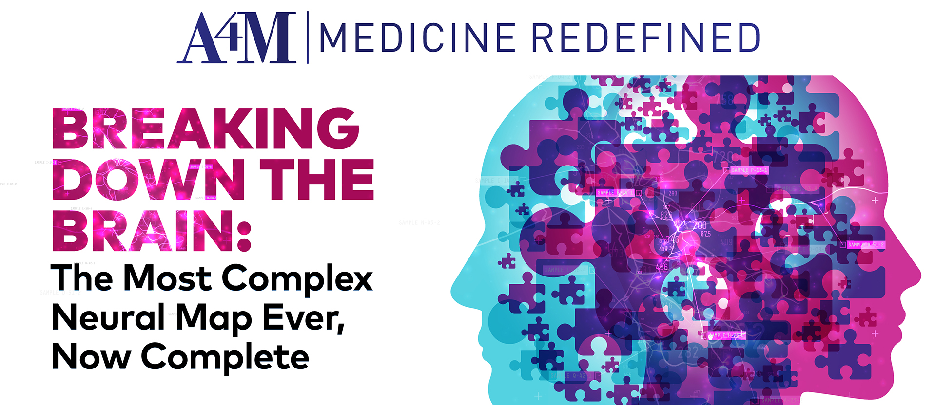 Neural Mapping Milestone: The Most Complete Brain Model Yet