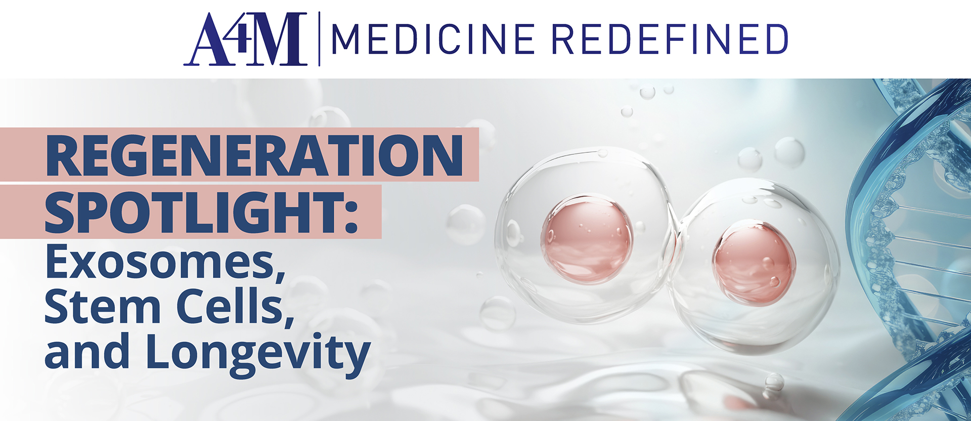 Regeneration Spotlight: Exosomes, Stem Cells, and Longevity